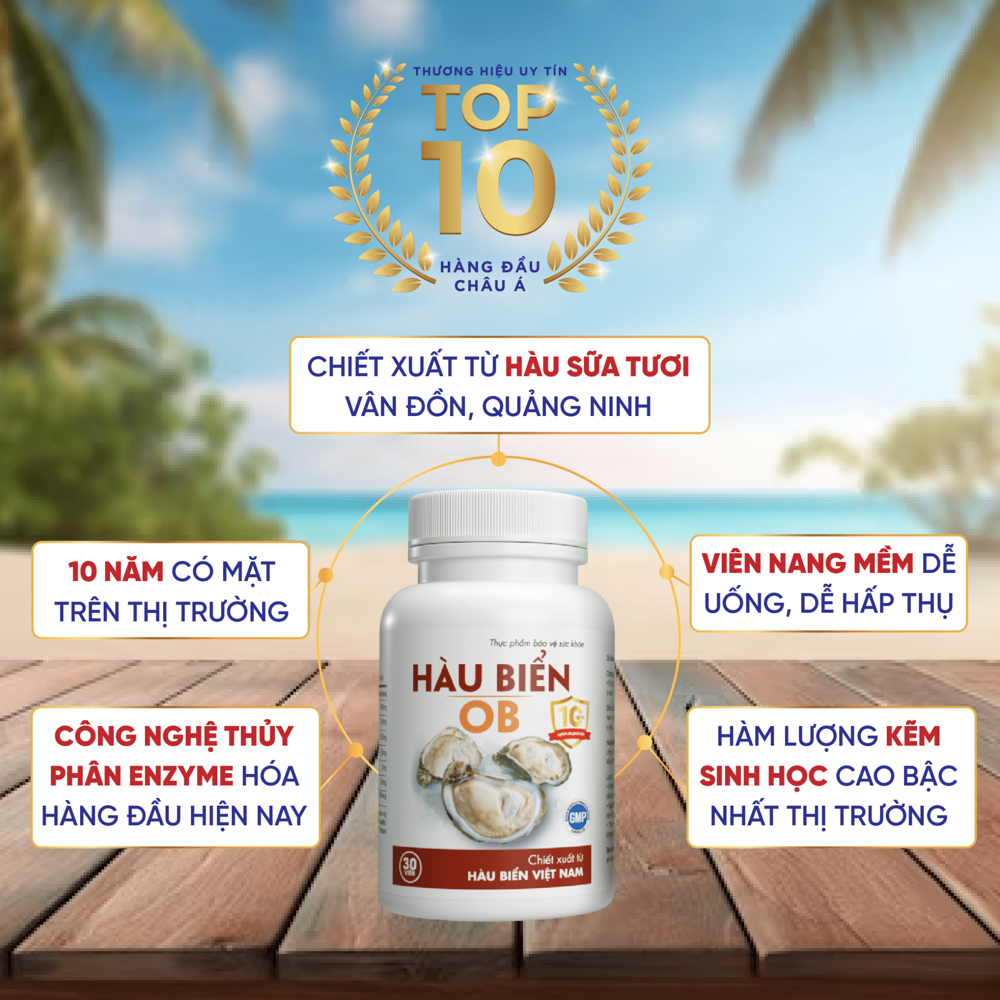 Hàu biển OB giá bao nhiêu? Mua ở đâu uy tín? – LASEN.COM.VN